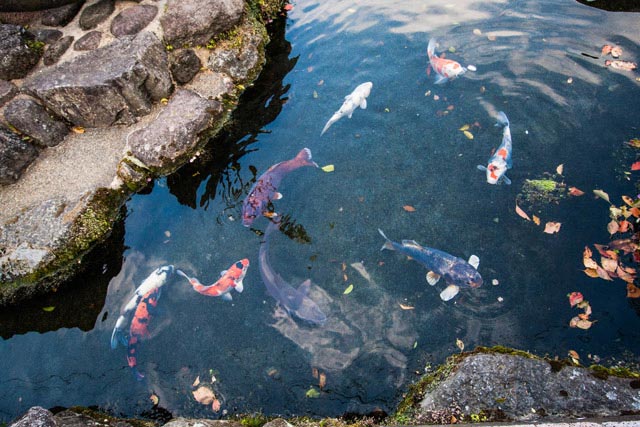 Shimabara: a Quiet Town with a Violent History in Nagasaki | Japan ...