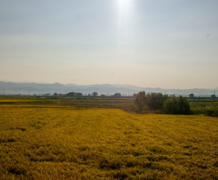 Scenic Train Routes – Resort Shirakami | Japan Travel by NAVITIME ...
