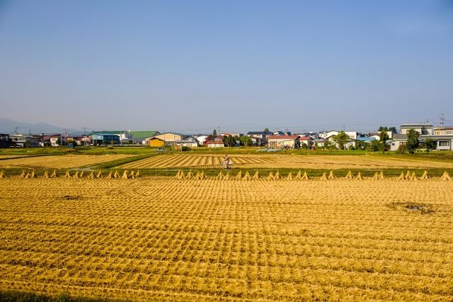 Scenic Train Routes – Resort Shirakami | Japan Travel by NAVITIME ...