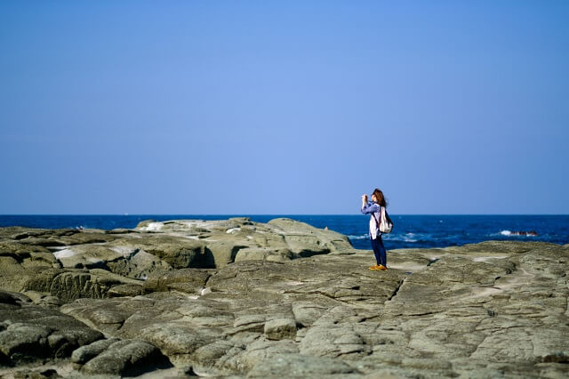 Scenic Train Routes – Resort Shirakami | Japan Travel by NAVITIME ...