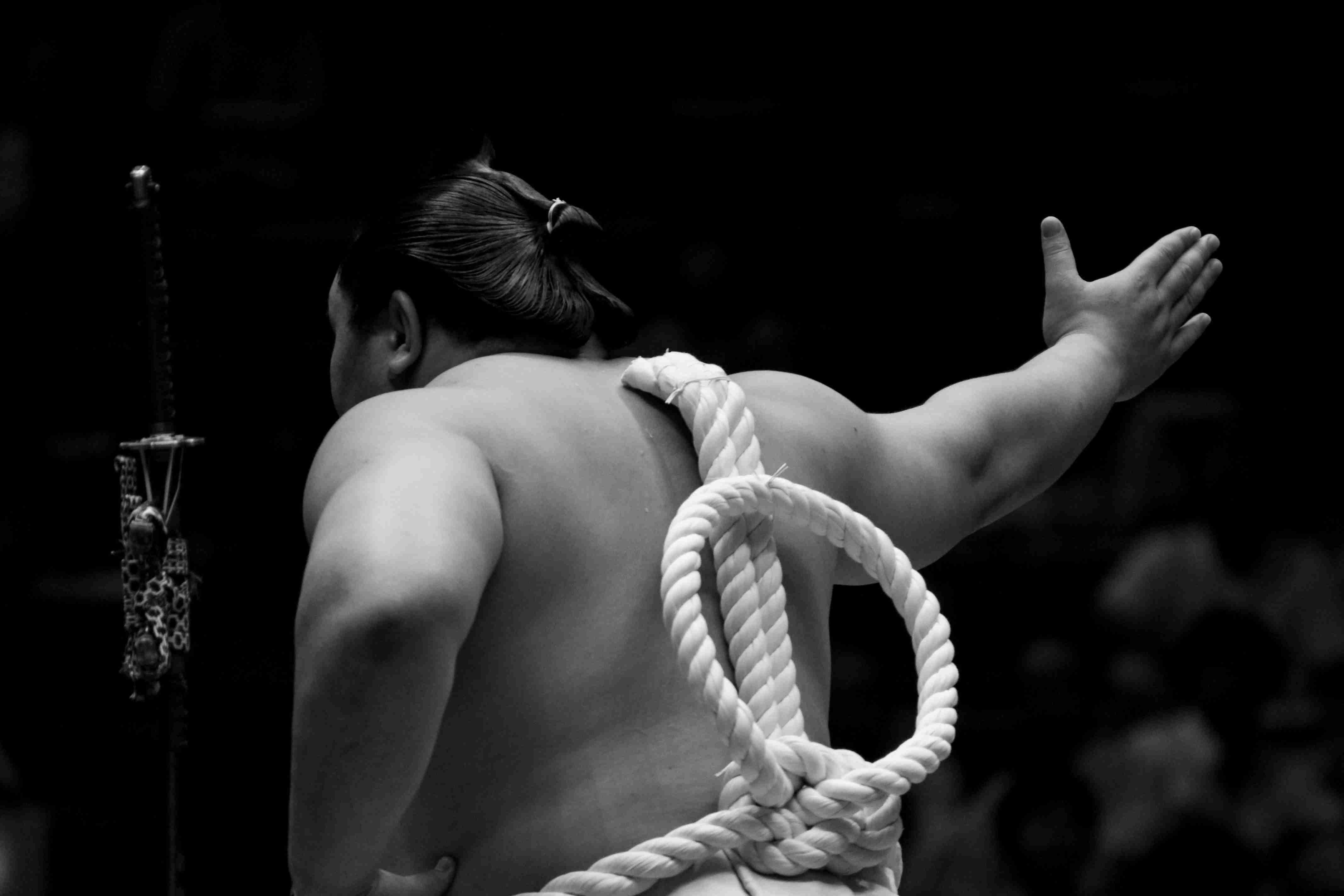 Sumo Spectator Guide | Explanation of How to Purchase Tickets and ...