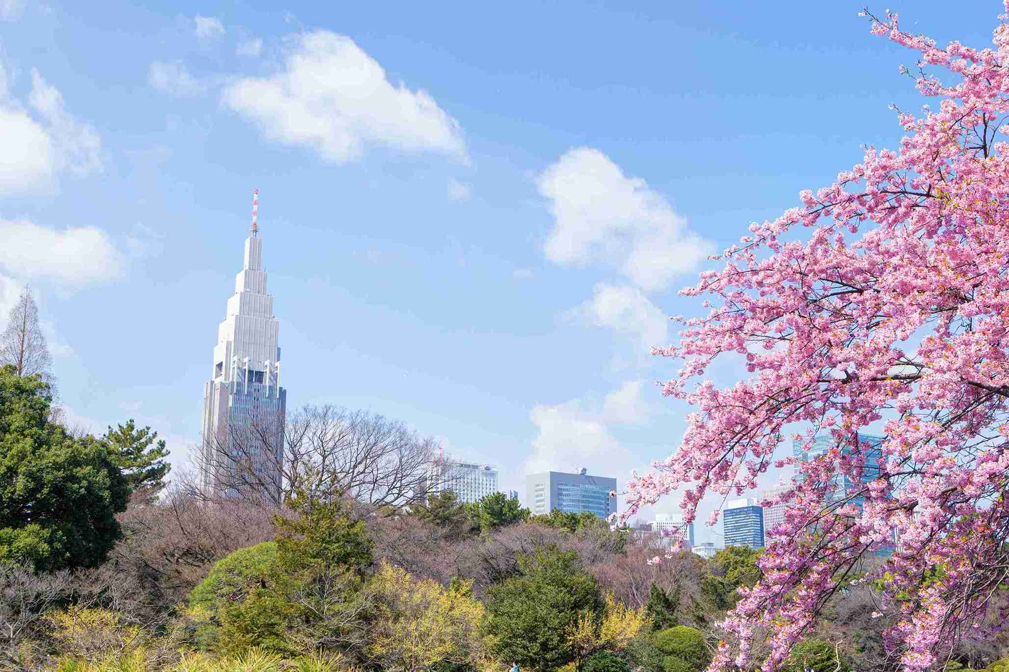 8 Quiet Hotels Near Shinjuku Gyoen | Introducing Price Ranges | Japan ...
