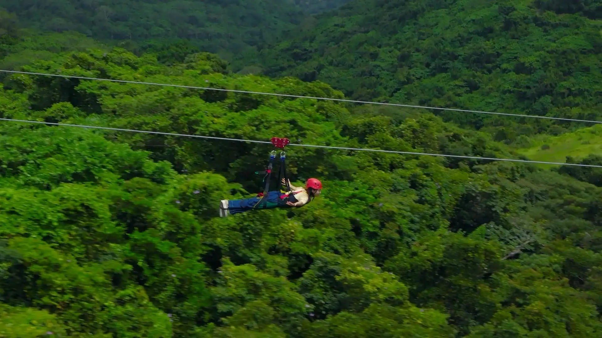 Junglia Okinawa: A Guide to Japan's Newest Adventure Theme Park (2025) | Japan Travel by ...