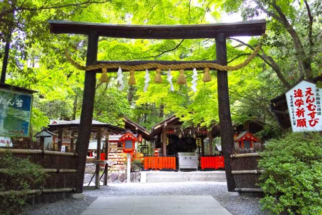 Kyoto's Arashiyama Bamboo Grove: History, Fees, and Things to Do ...