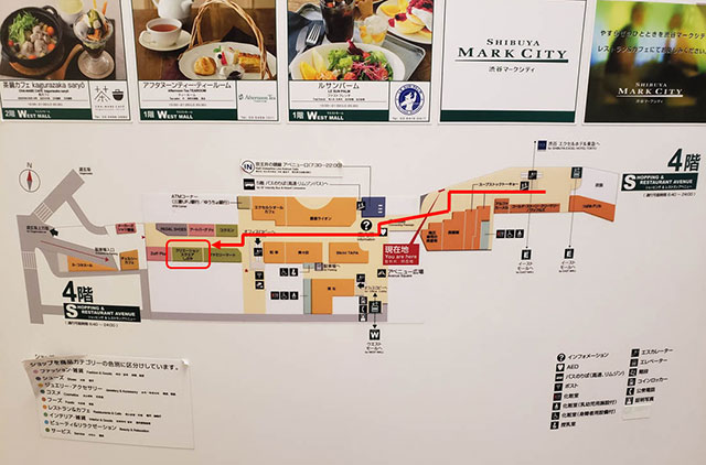 How to Leave your Luggage in Shibuya | Japan Travel by NAVITIME - Japan ...