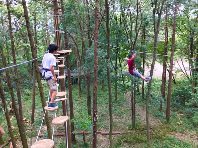 Forest Adventure – Experience Japan's Outdoors in Style | Japan Travel ...