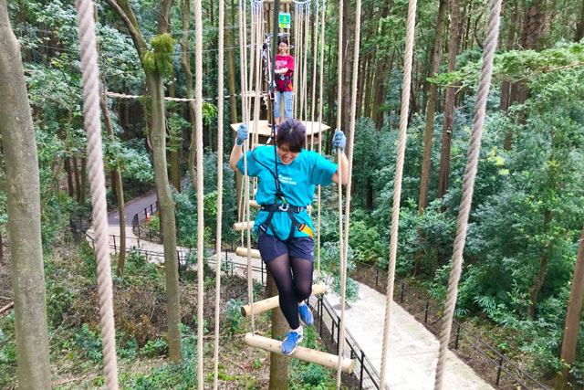 Forest Adventure – Experience Japan's Outdoors in Style | Japan Travel ...