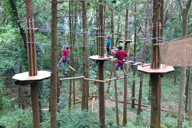 Forest Adventure – Experience Japan's Outdoors in Style | Japan Travel ...