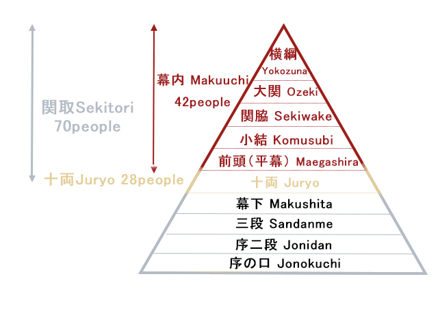 True World of Sumo supervised by former sumo wrestler | Japan Travel by ...