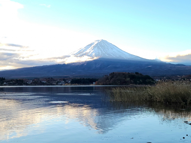 ชินจูกุถึงคาวากุจิโกะ: เดินทางตรงโดยใช้รถไฟด่วนพิเศษ FUJI EXCURSION ...