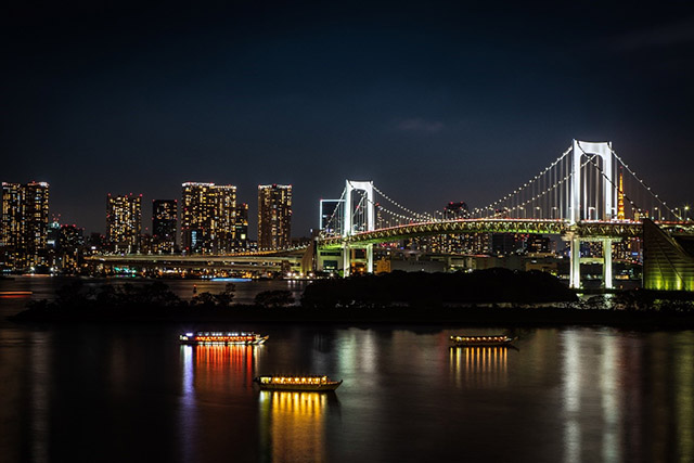 Experience Tokyo by Night with the Metropolitan Expressway | Japan ...