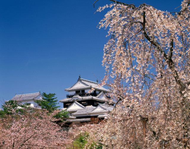 The Shimanami Kaido and Spring in Shikoku: A Guide to Scenic Cycling ...