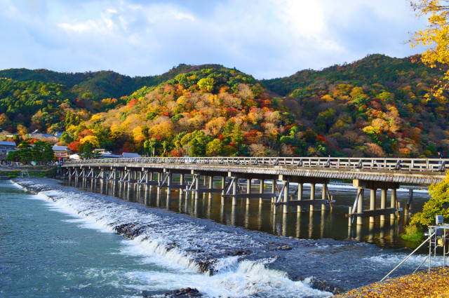 A 7-Day Tour of Japan's Golden Route: The Perfect Travel Plan for Tokyo ...