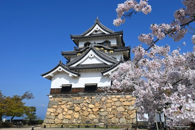 A Complete Guide to the 12 Remaining Authentic Castles in Japan | Japan ...