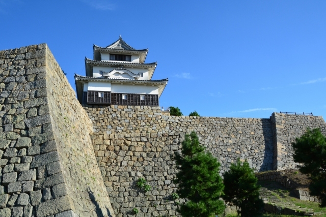 A Complete Guide to the 12 Remaining Authentic Castles in Japan | Japan ...