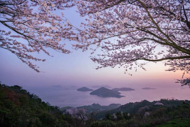 The Complete Guide to Spring in Japan 2026: Cherry Blossoms, Scenic ...