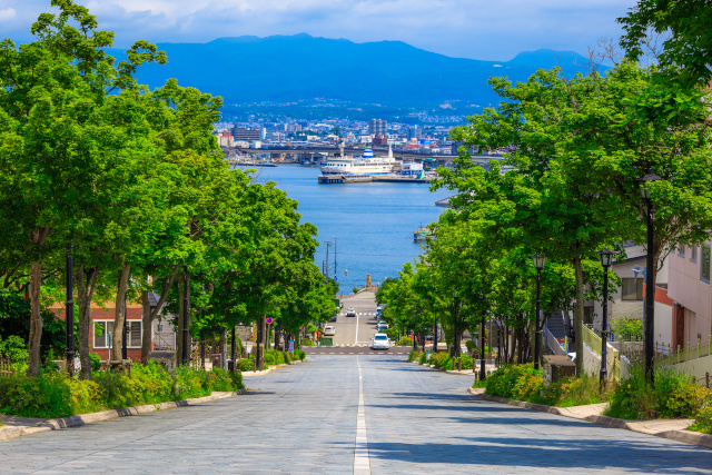 About Hakodate | Japan Travel by NAVITIME - Japan Travel Guides ...