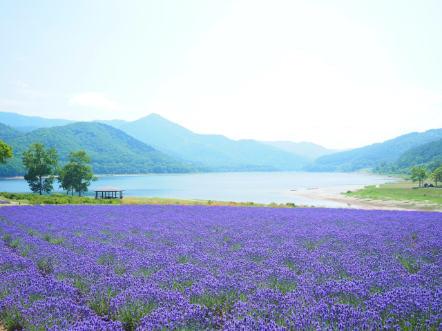 About Furano | Japan Travel by NAVITIME - Japan Travel Guides, Transit ...