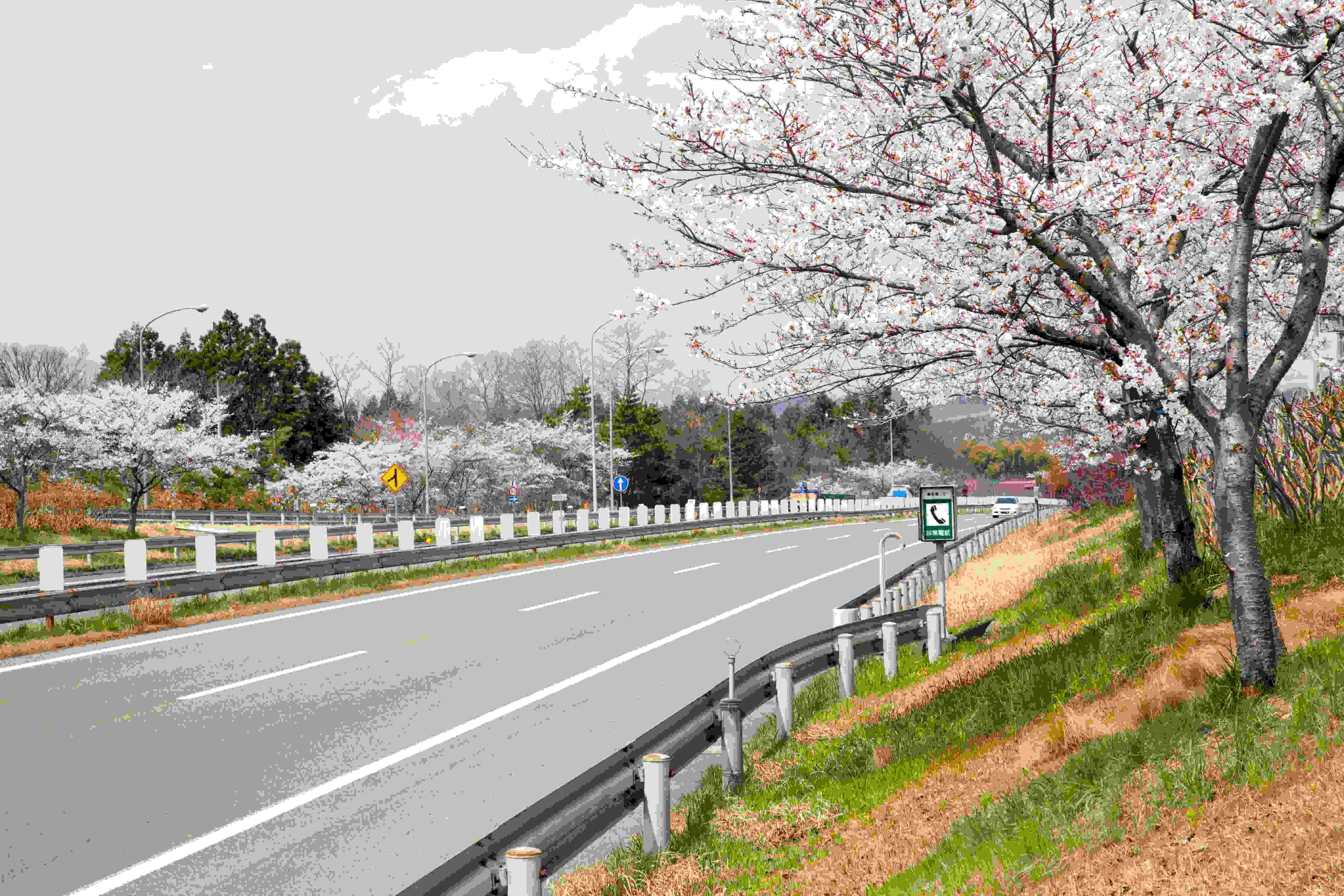 Save on Expressway Tolls with Regional Passes | Japan Travel by ...
