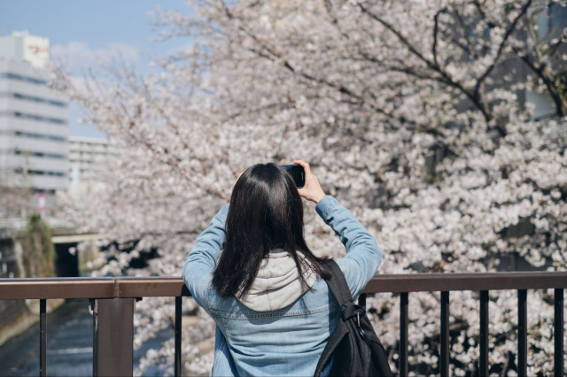 Guide to Spring Clothing in Japan: Temperatures and Recommended Outfits ...