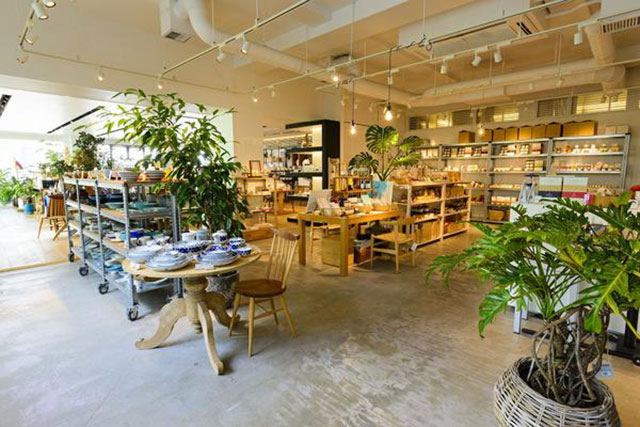 15 of the Best Things to Do in Daikanyama | Japan Travel by NAVITIME ...