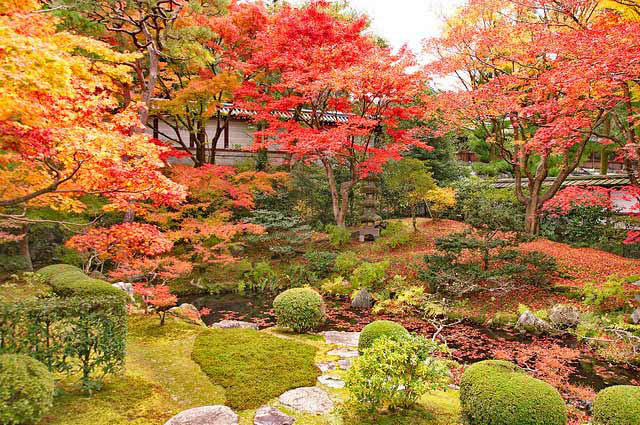 Top 42 Autumn Color Spot in Kyoto | Japan Travel by NAVITIME - Japan ...