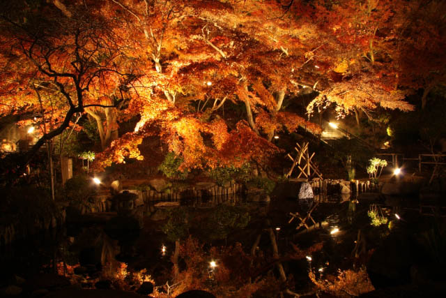 Unmissable Autumn Leaf-viewing spots in Japan | Japan Travel by ...