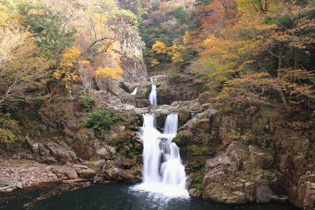 Unmissable Autumn Leaf-viewing spots in Japan | Japan Travel by ...