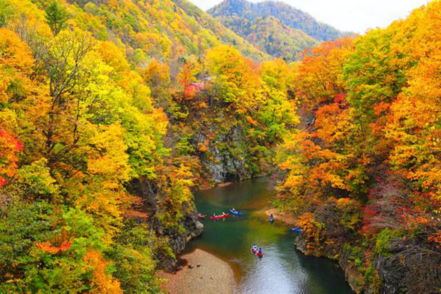 Unmissable Autumn Leaf-viewing spots in Japan | Japan Travel by ...