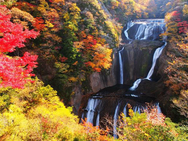 Unmissable Autumn Leaf-viewing spots in Japan | Japan Travel by ...