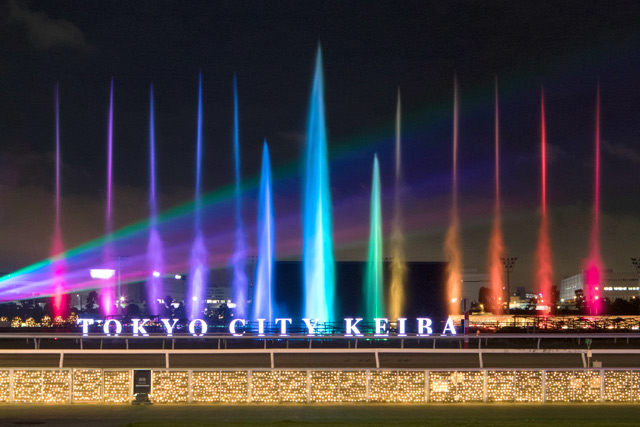 Tokyo Mega Illumination 2019 : A Stunning Display | Japan Travel by ...