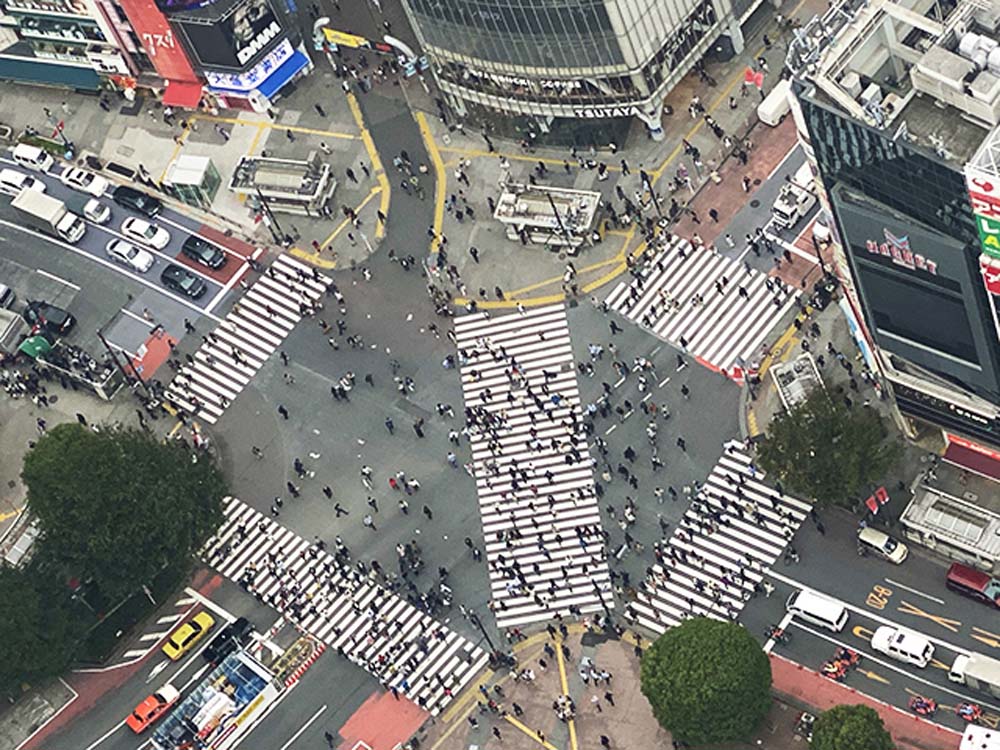 Shibuya Sky : The Best Observation Deck in Tokyo | Japan Travel by ...