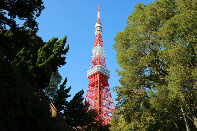 Climbing Tokyo Tower | Japan Travel by NAVITIME - Japan Travel Guides ...