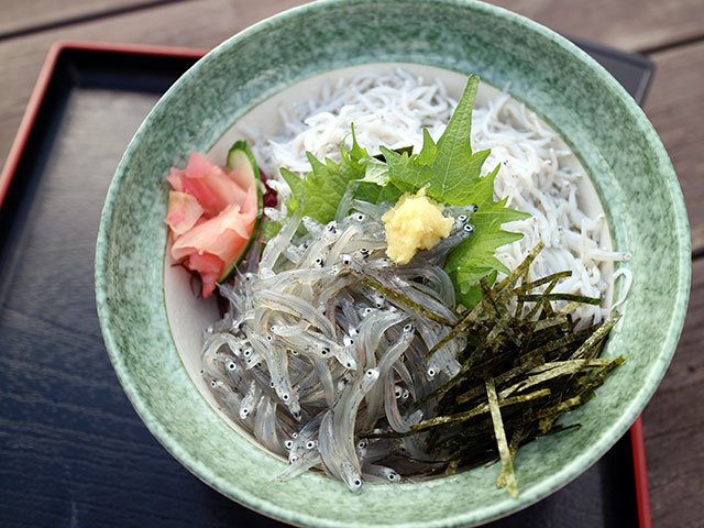 Enoshima-Kamakura Freepass: Price and Itinerary for Tokyo to Kamakura ...