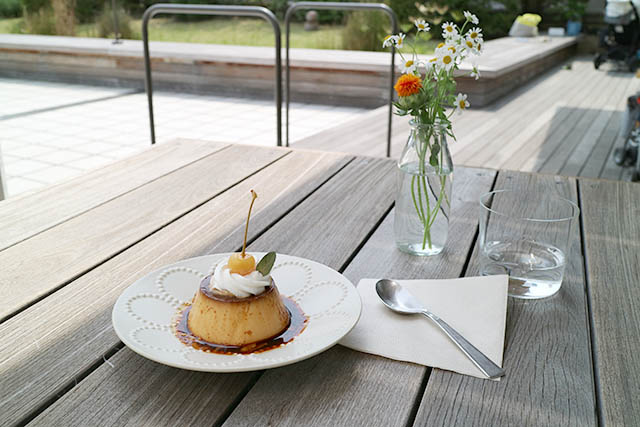 5 Firm Puddings to Satisfy Your Sweet Tooth in Tokyo | Japan Travel by ...