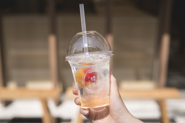 Kyoto: Make Your Own Plum Wine at the Choya Ume Specialty Shop | Japan ...