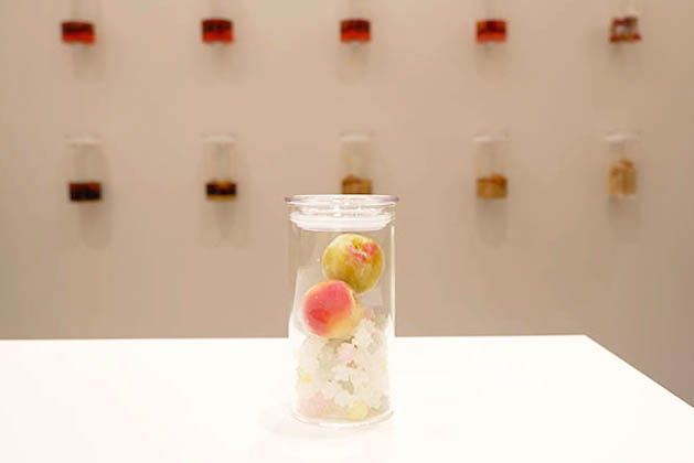 Kyoto: Make Your Own Plum Wine at the Choya Ume Specialty Shop | Japan ...