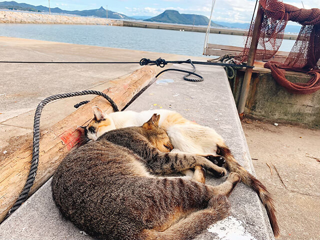 Exploring Art Island of Ogijima in Seto Inland Sea | Japan Travel by ...