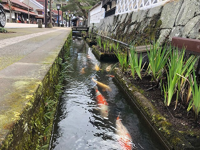 A Walking Guide for Exploring Tsuwano | Japan Travel by NAVITIME ...