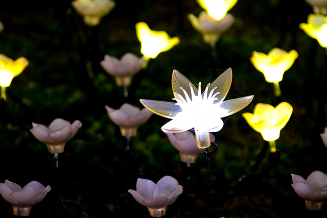 Colors of Demon Slayer at Ashikaga Flower Park | Japan Travel by ...