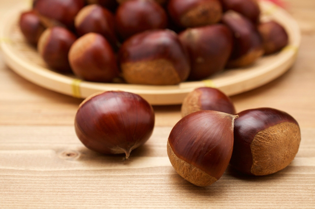 Seigetsudo in Ginza and the Tradition of Japanese Sweets Wagashi ...