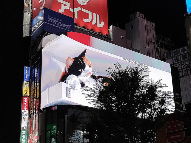 Meow! Giant 3D Cat In Shinjuku | Japan Travel by NAVITIME - Japan ...