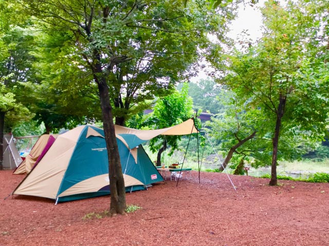 6 Best Camping Spots Relatively Close from Tokyo | Japan Travel by ...