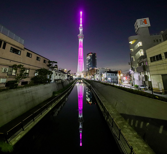 7 Best Places to Shoot Sky Tree | Japan Travel by NAVITIME - Japan ...