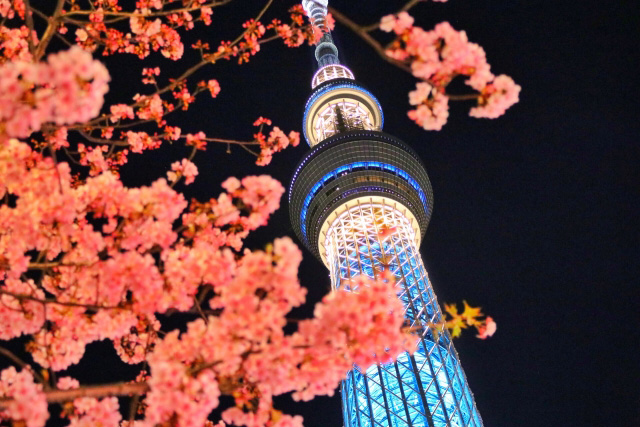 7 Best Places to Shoot Sky Tree | Japan Travel by NAVITIME - Japan ...