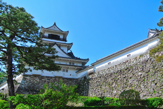 8 Must Eat, See and Go in Kochi Recommended By The Locals | Japan ...