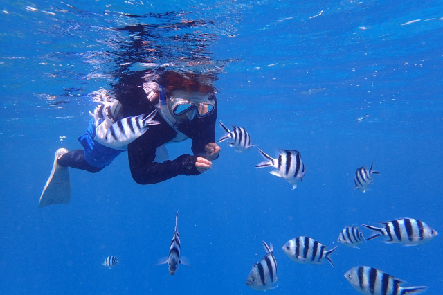 Enjoy Okinawa! Top 10 Marine Sports Activities | Japan Travel by ...