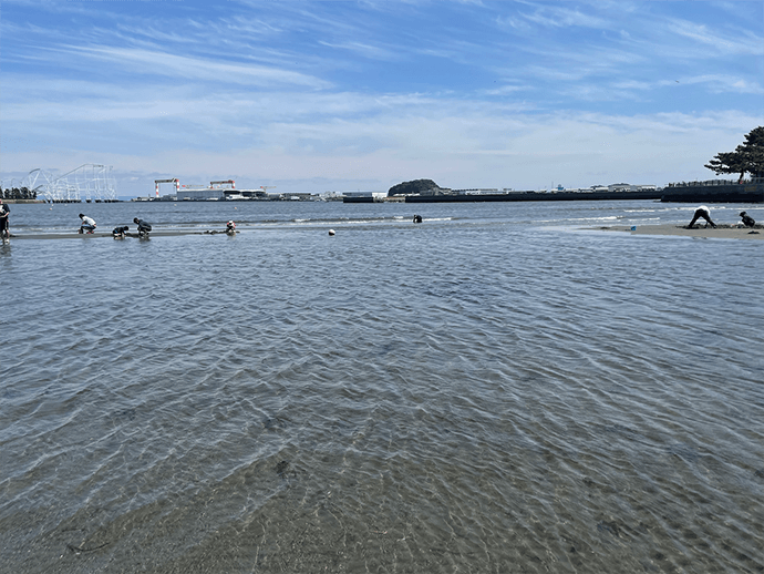 Clam-Digging (Shiohigari) in Japan: A Spring Tradition | Japan Travel ...