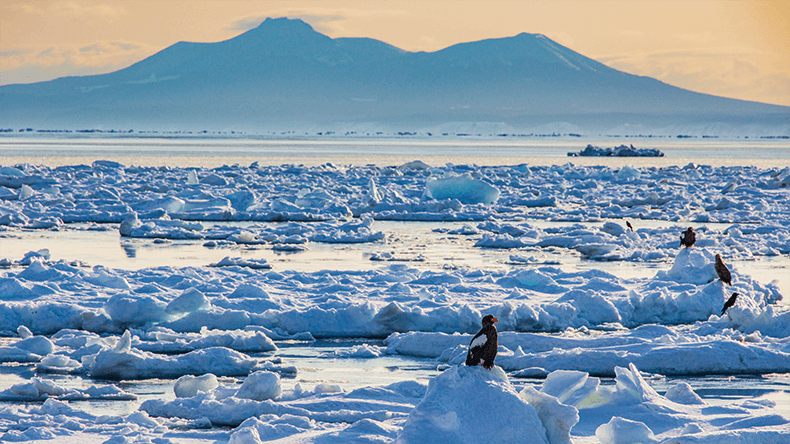 Let’s Go!Shiretoko | Japan Travel by NAVITIME - Japan Travel Guides ...