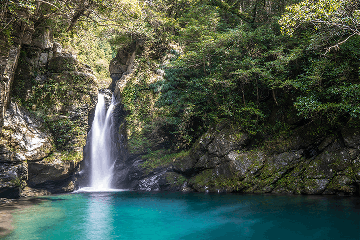 Sea to Summit: Exploring Kochi Prefecture’s natural wonders | Japan ...